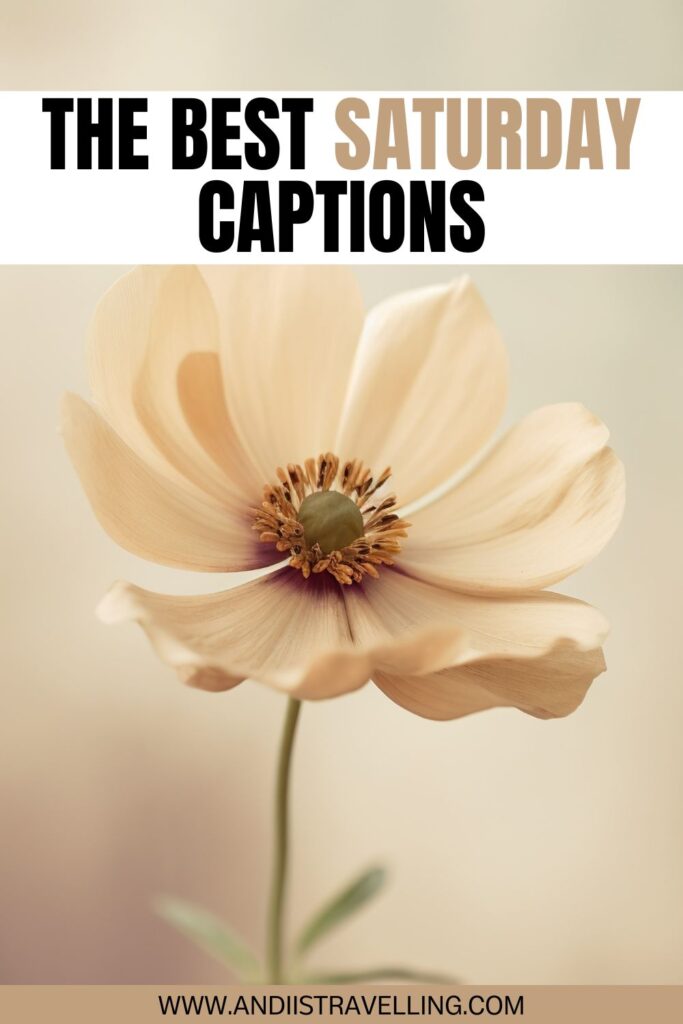 The Ultimate Guide to Saturday Captions for Instagram: Perfect Phrases ...